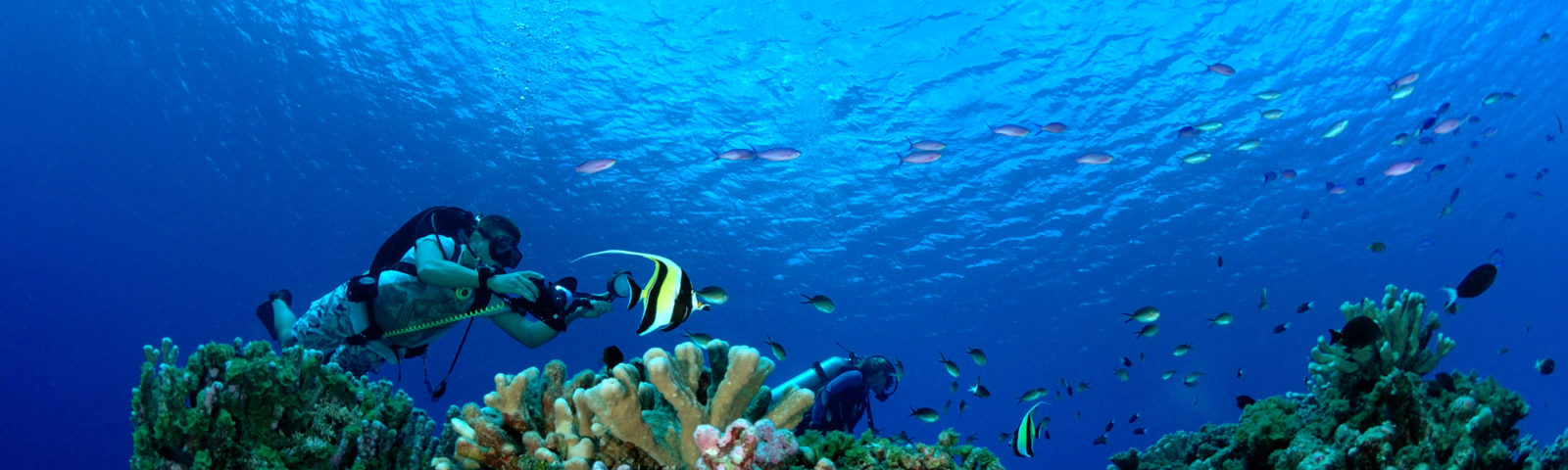 SCUBA DIVING | RAYCREW | Majuro Marshall Islands | レイクルー・マーシャル諸島